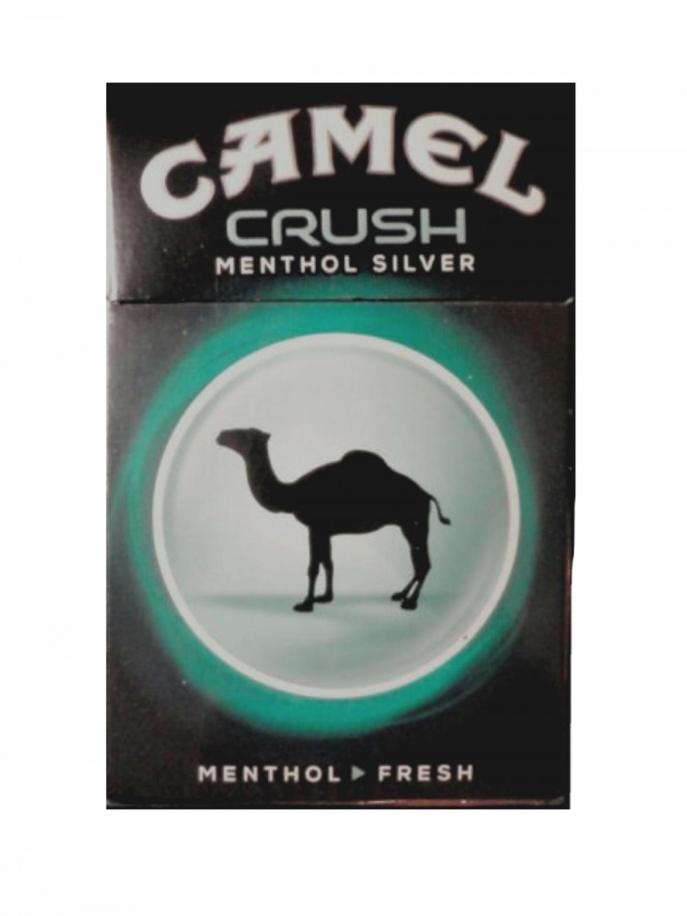 Camel Menthol Cigarettes